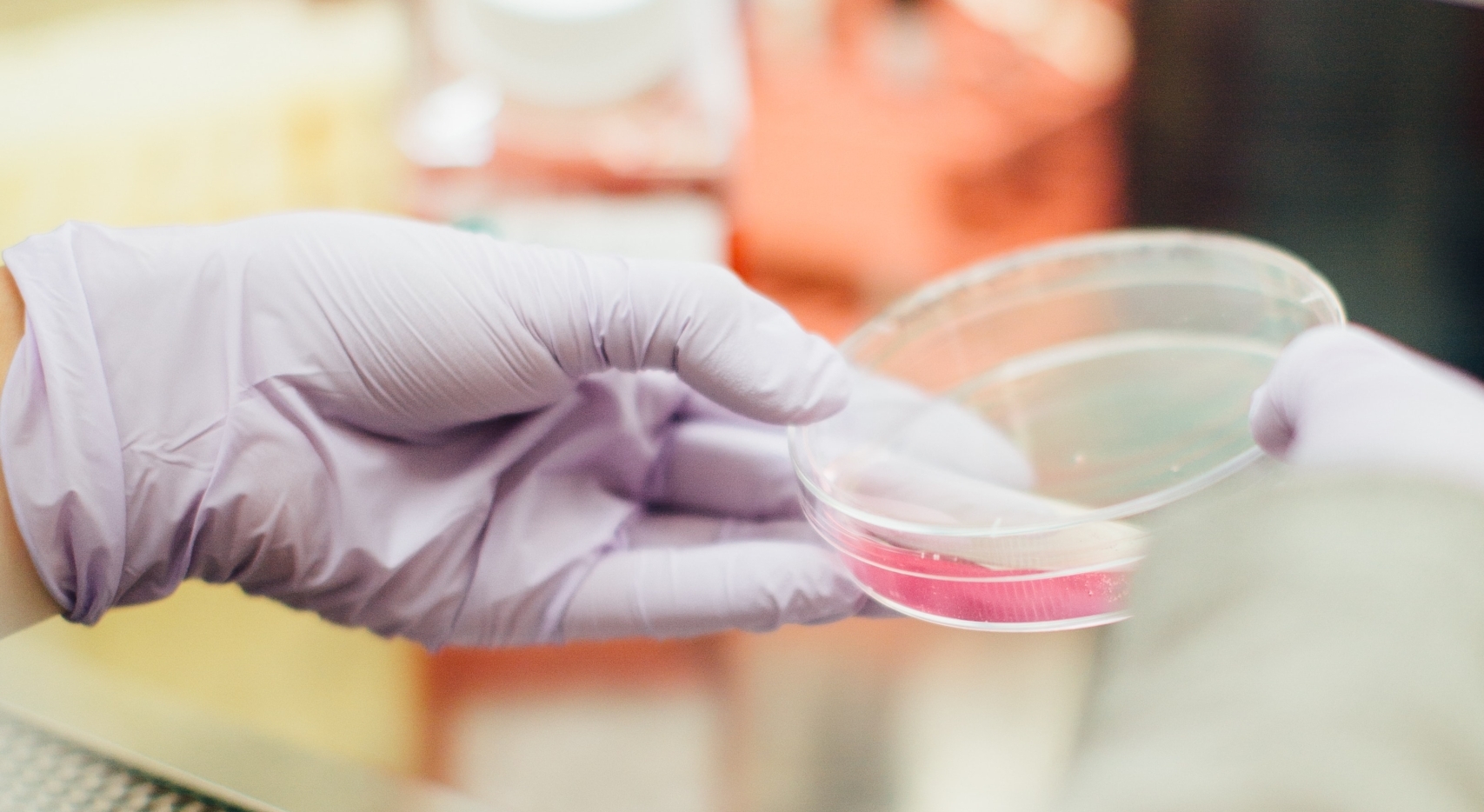 Laborergebnisse - OROCAN Produkte